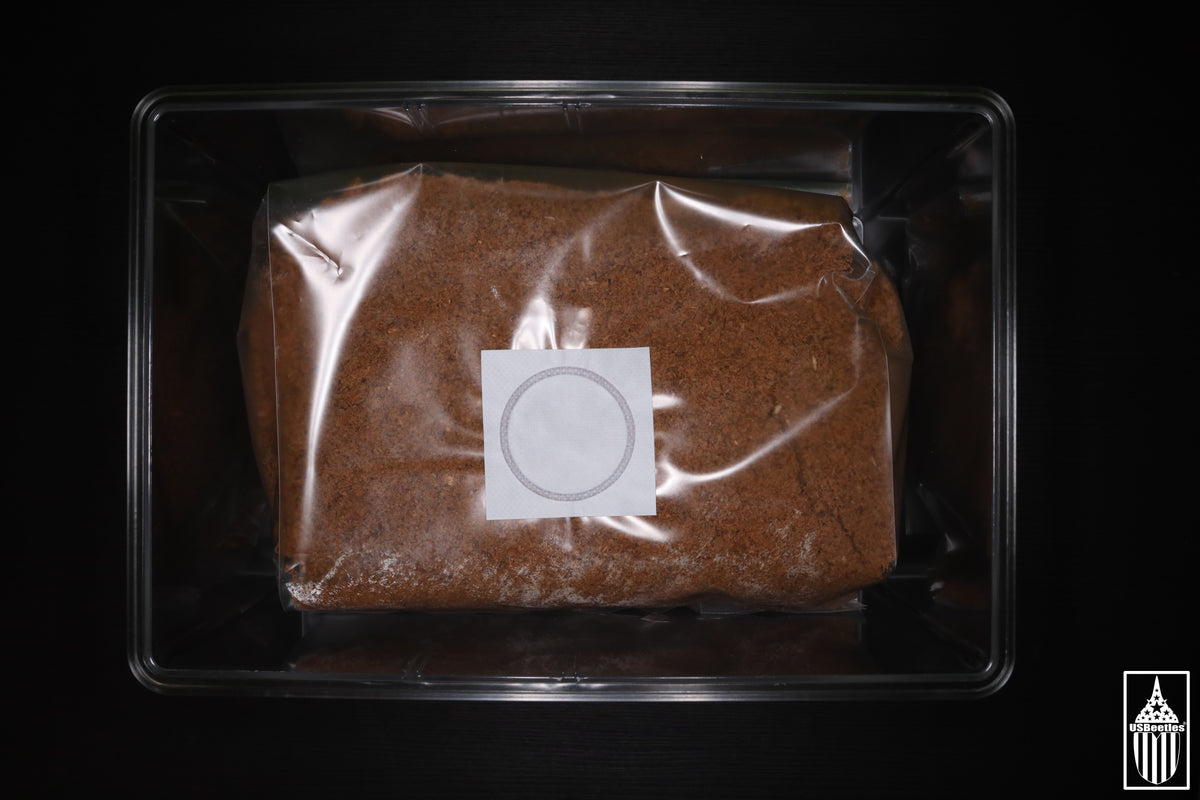 All in one Beetle/Larva Breeding Kit. – USBeetles